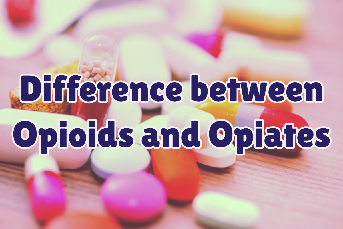Know the Difference between Opioids and Opiates