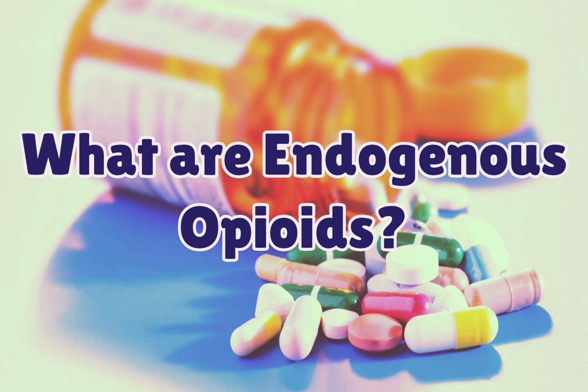Information on Endogenous Opioids